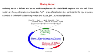 PLASMID CLONING VECTORS.pdf
