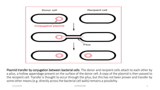 PLASMID CLONING VECTORS.pdf