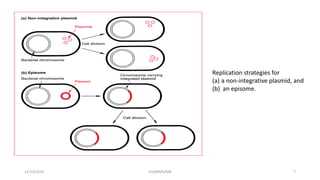 PLASMID CLONING VECTORS.pdf