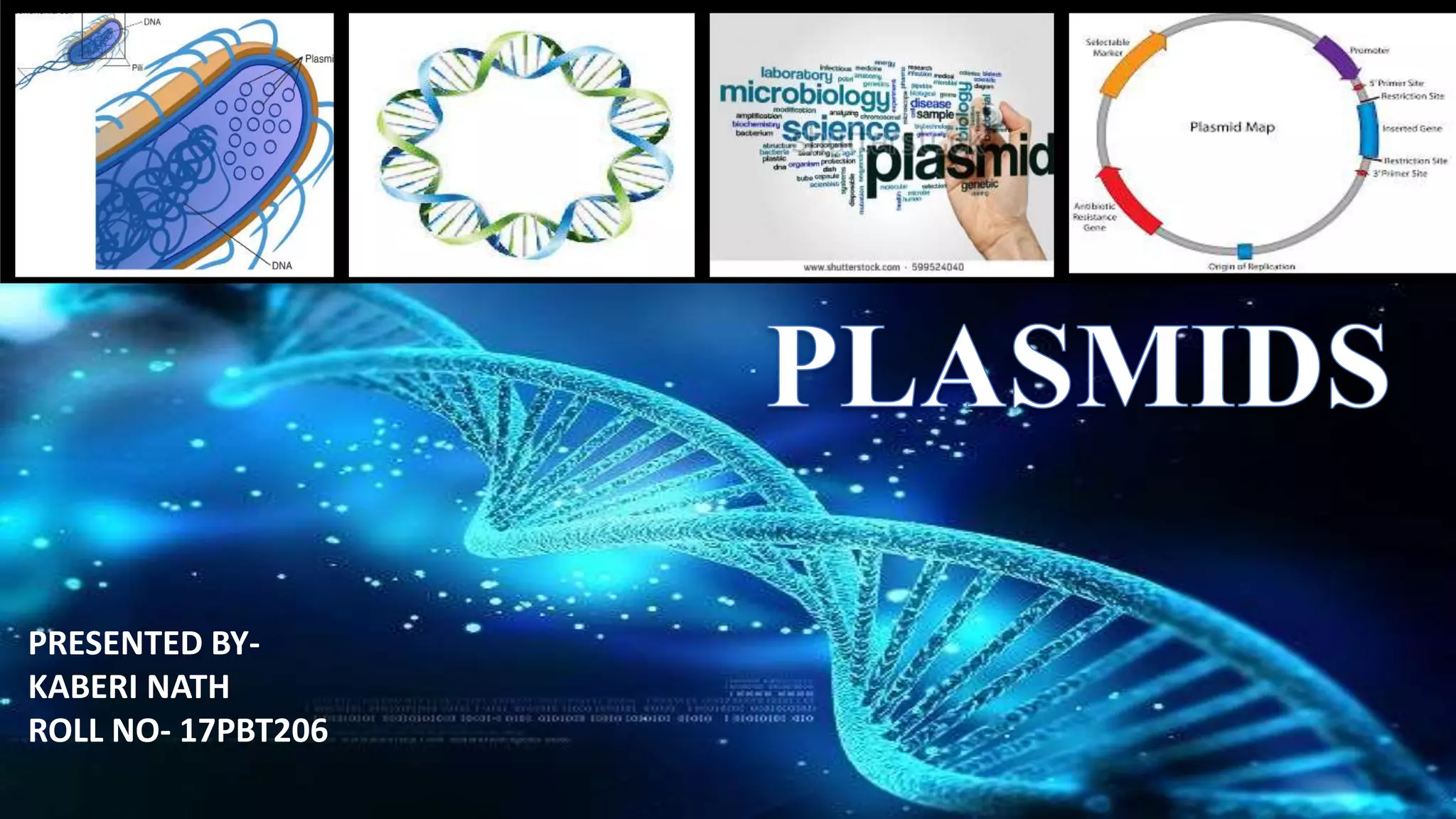Plasmid | PPTX