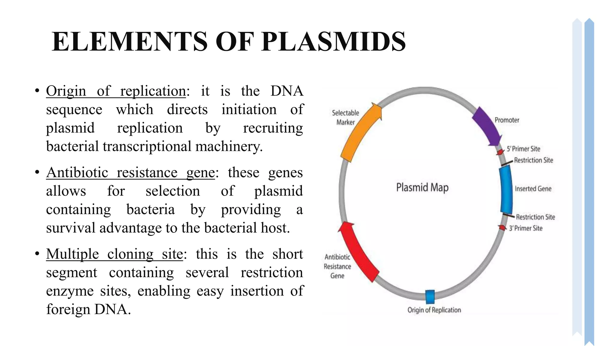 Plasmid | PPTX