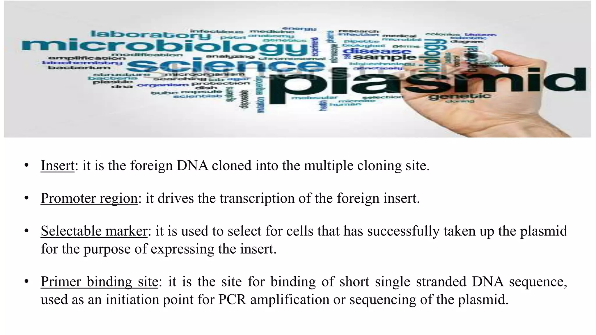 Plasmid | PPTX