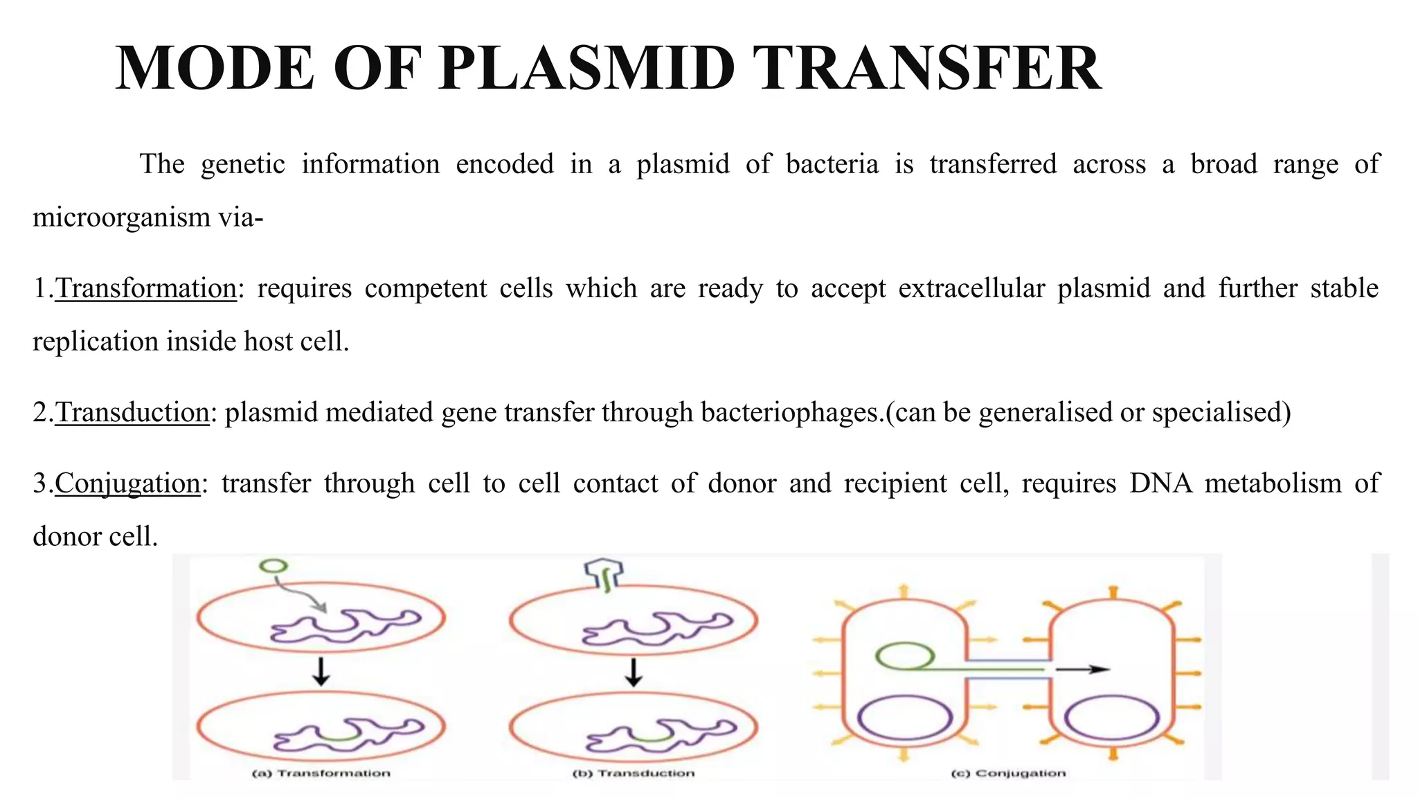 Plasmid | PPTX