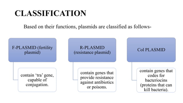 Plasmid | PPTX