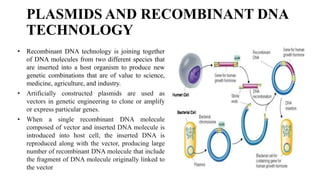 Plasmid | PPTX