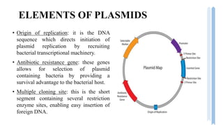 Plasmid | PPTX