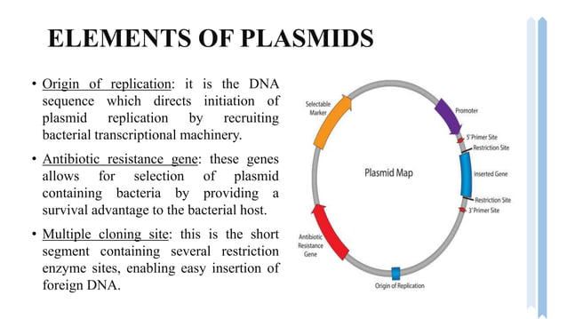 Plasmid | PPTX