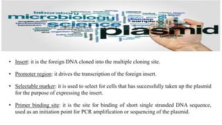 Plasmid | PPTX