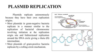 Plasmid | PPTX