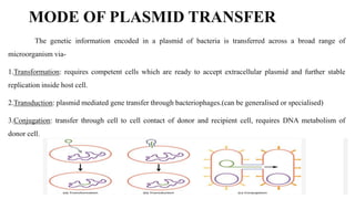 Plasmid | PPTX
