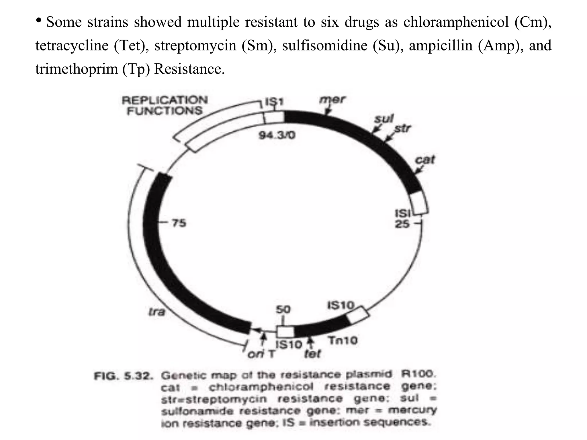 Plasmid genetics | PPTX