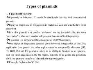 Plasmid genetics | PPTX