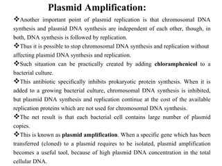 Plasmid genetics | PPTX