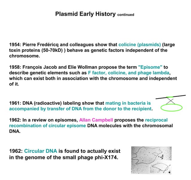Plasmid isolation | PPT