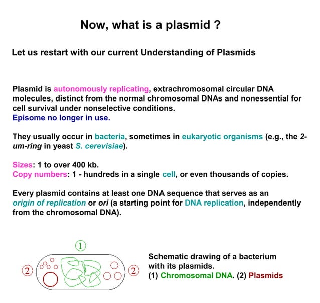 Plasmid isolation | PPT