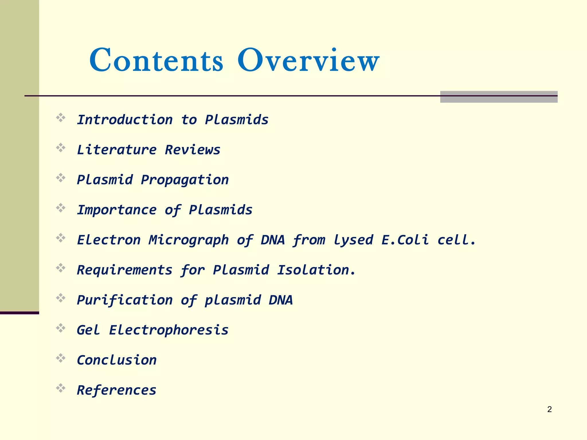 Plasmid isolation | PPT