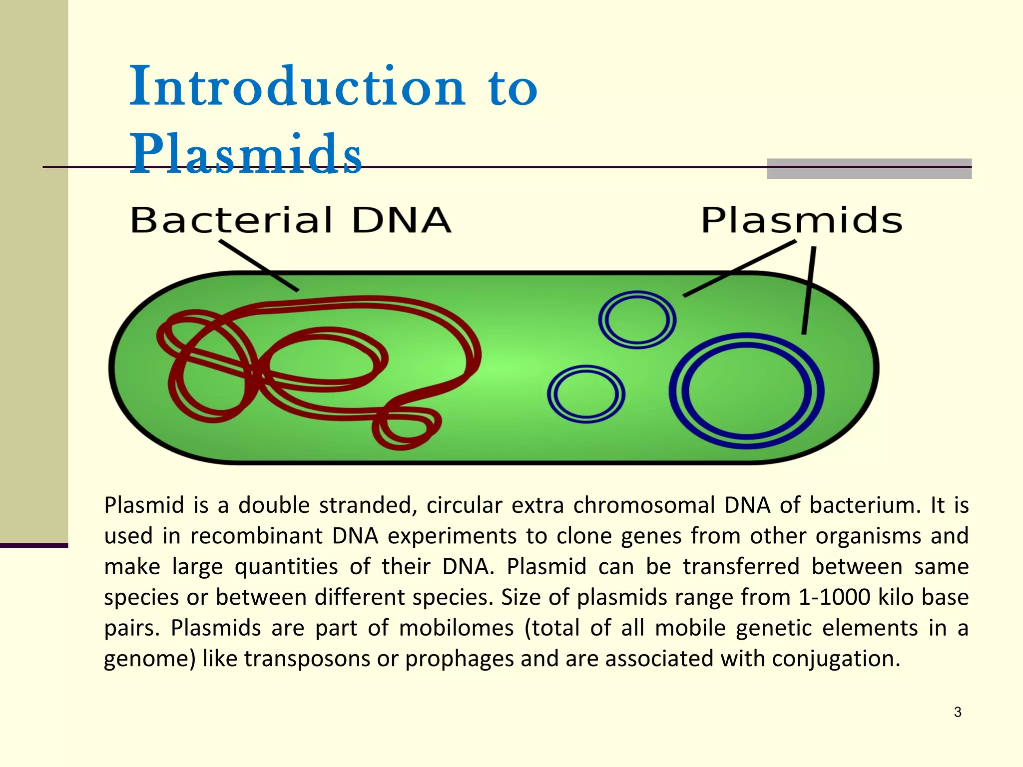 Plasmid isolation | PPT