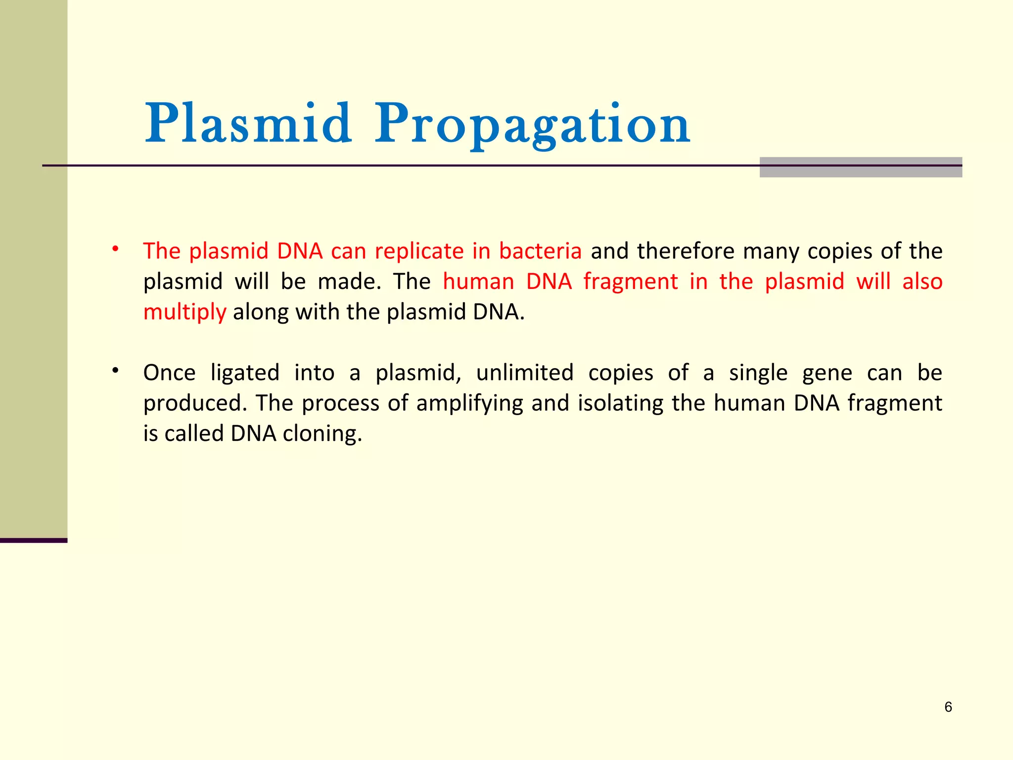 Plasmid isolation | PPT