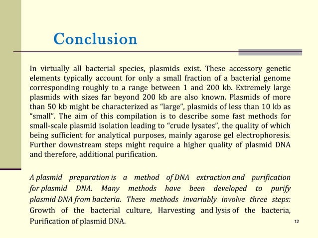 Plasmid isolation | PPT