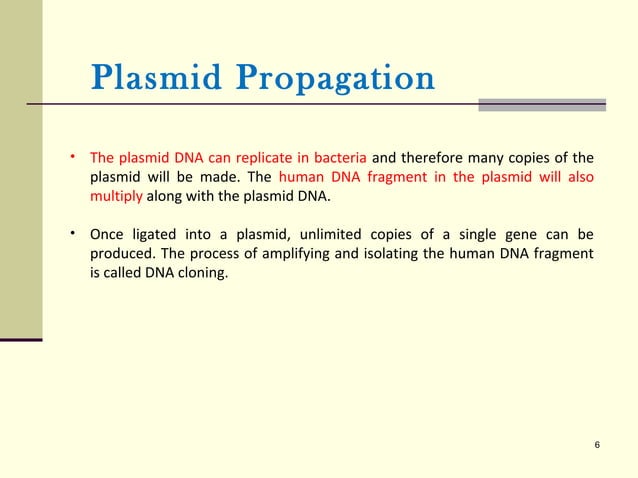 Plasmid isolation | PPT