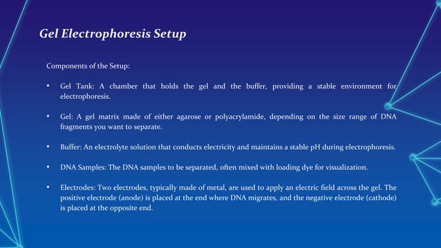 Plasmid Isolation And Gel Electrophoresis.pptx