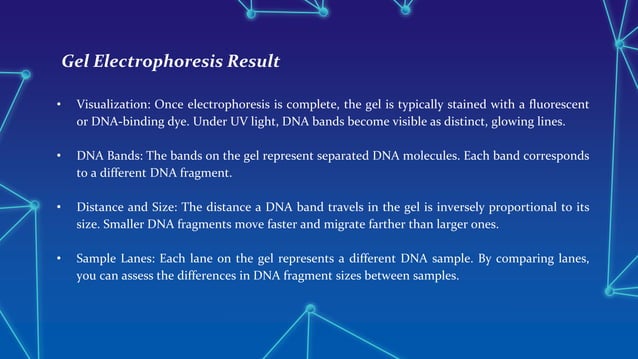 Plasmid Isolation And Gel Electrophoresis.pptx
