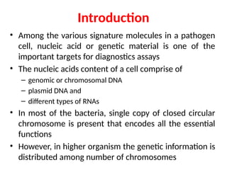 Bacterial Plasmid Isolation and Profiling.pptx