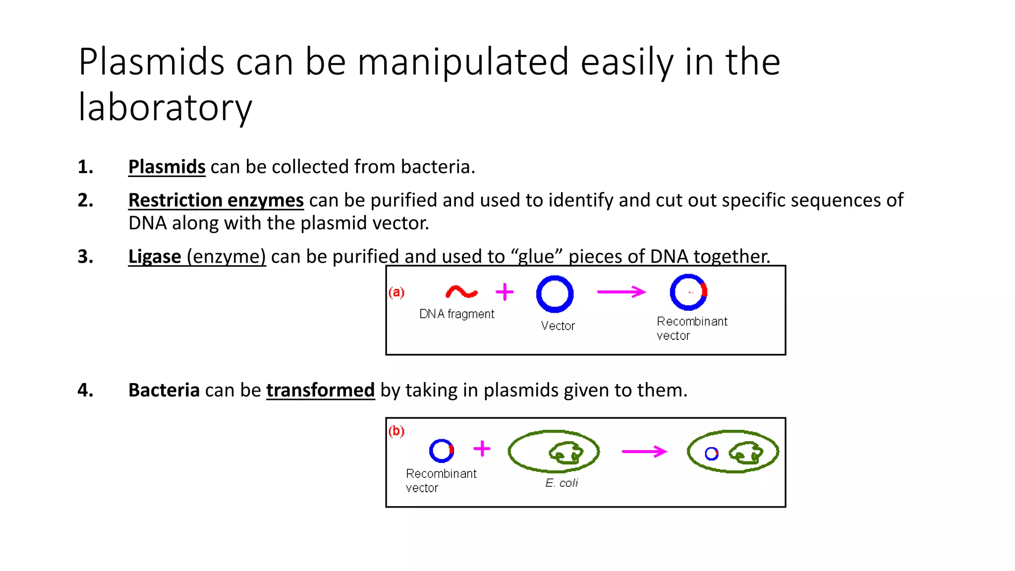 Plasmid | PPTX