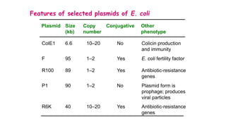 Plasmid | PPTX