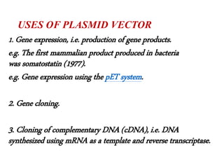 Plasmid & phage vector | PPTX