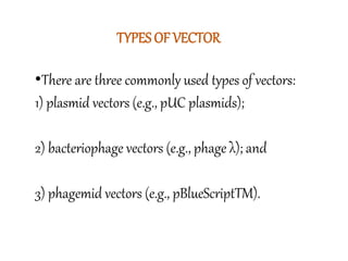 Plasmid & phage vector | PPTX