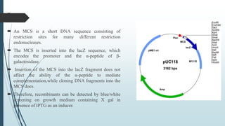 PLASMIDS AND VECTORS | PPTX
