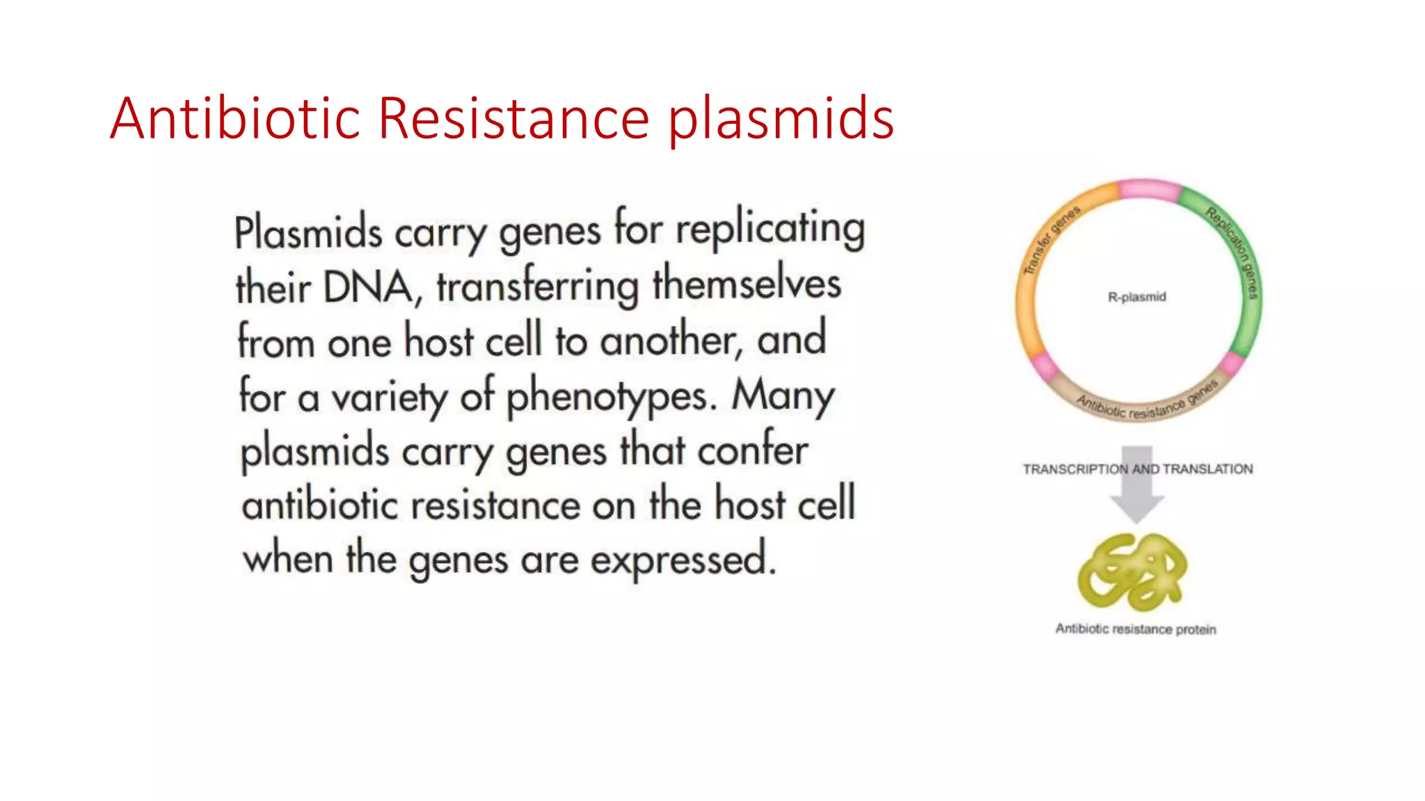 Plasmid Ppt Pptx