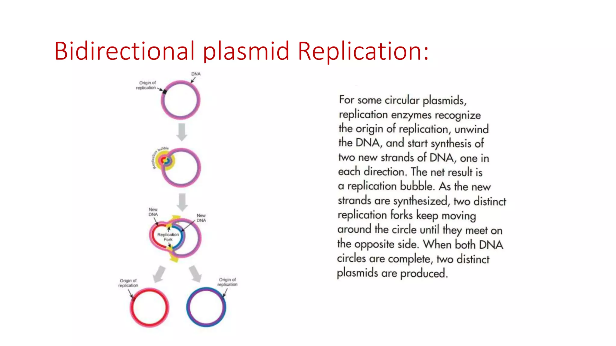 Plasmid ppt.pptx