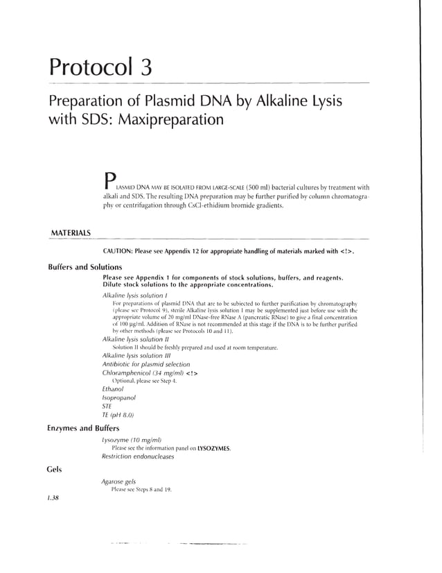 Plasmid Prep - Maxi.pdf