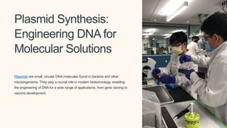 Plasmid Preparation Troubleshooting: Overcoming Common Challenges | PDF