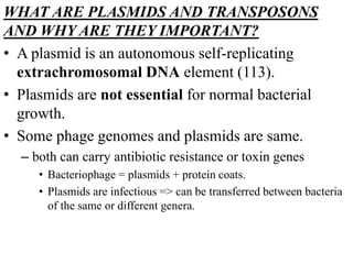 Profile Plasmid Profile Analysis - Print.pptx