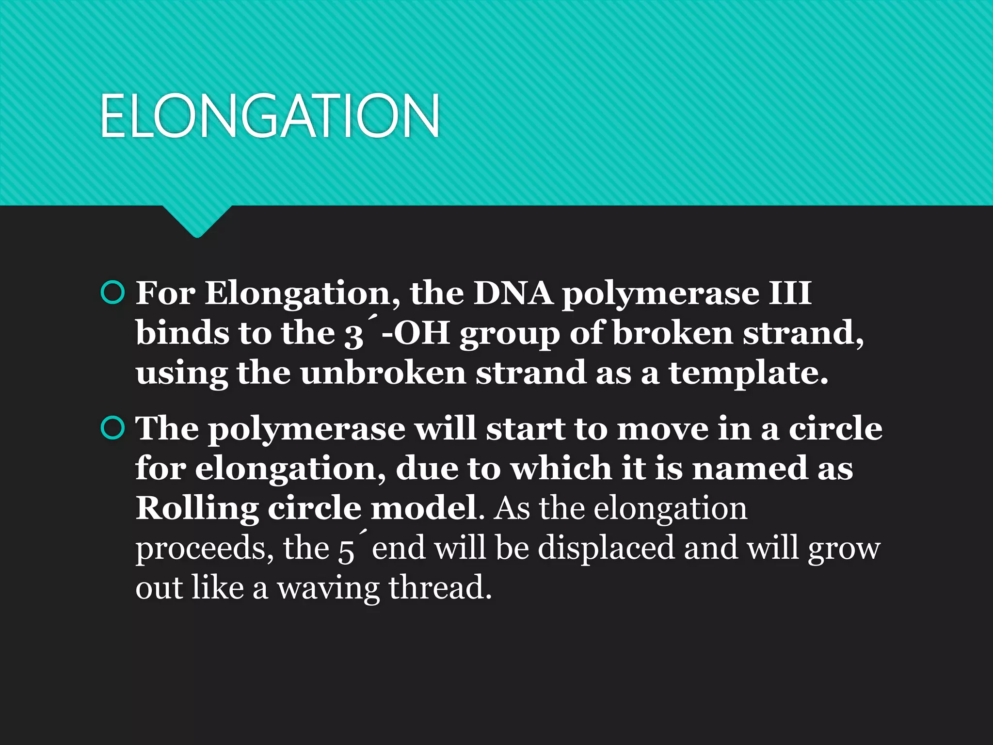 Plasmid replication -methods & types | PPTX