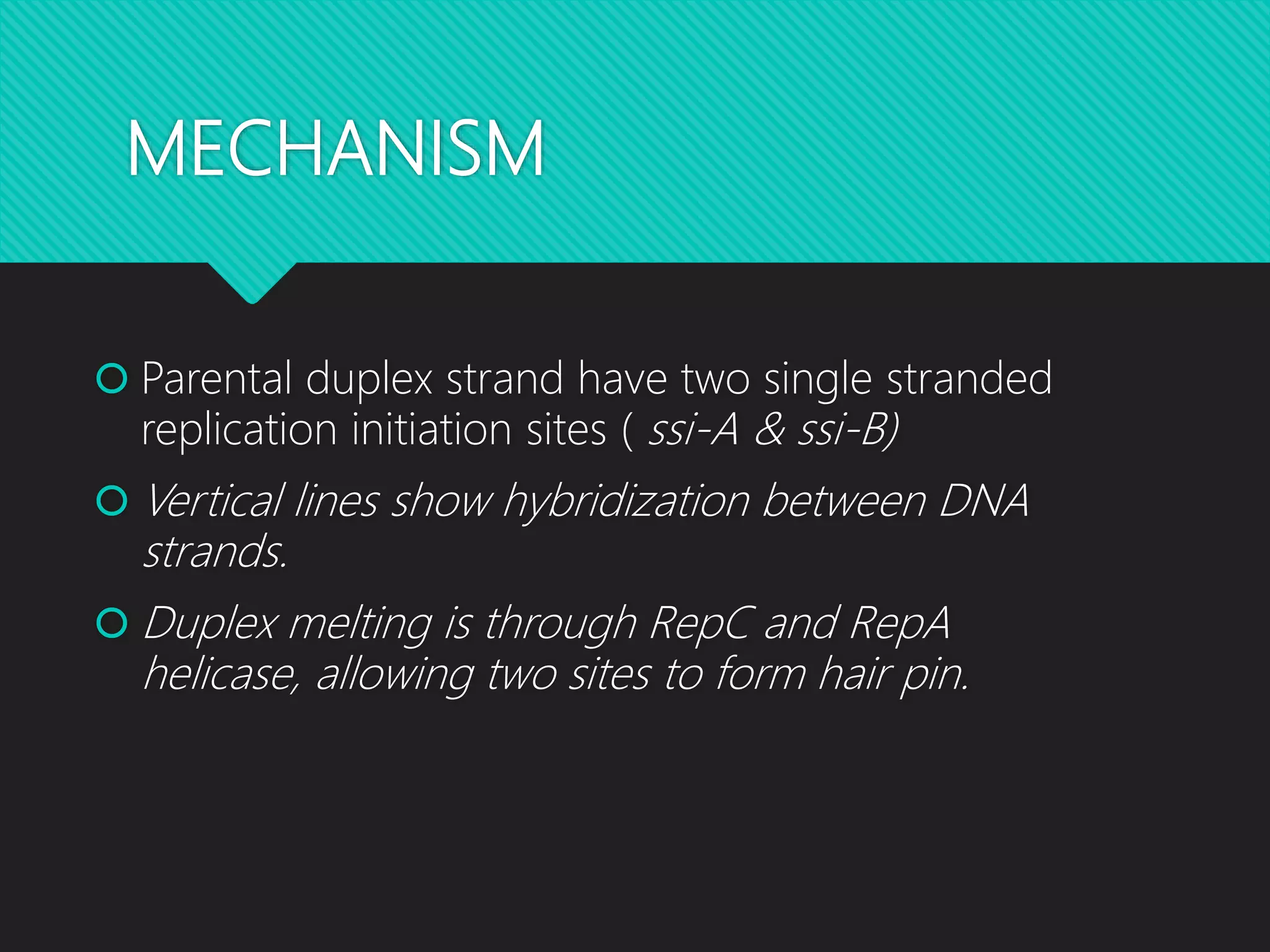 Plasmid replication -methods & types | PPTX
