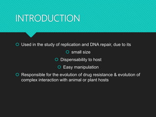Plasmid replication -methods & types | PPTX