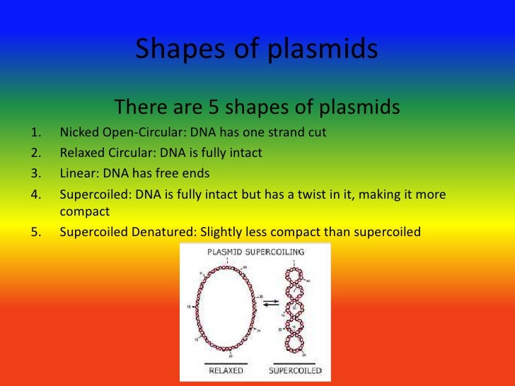 Plasmids