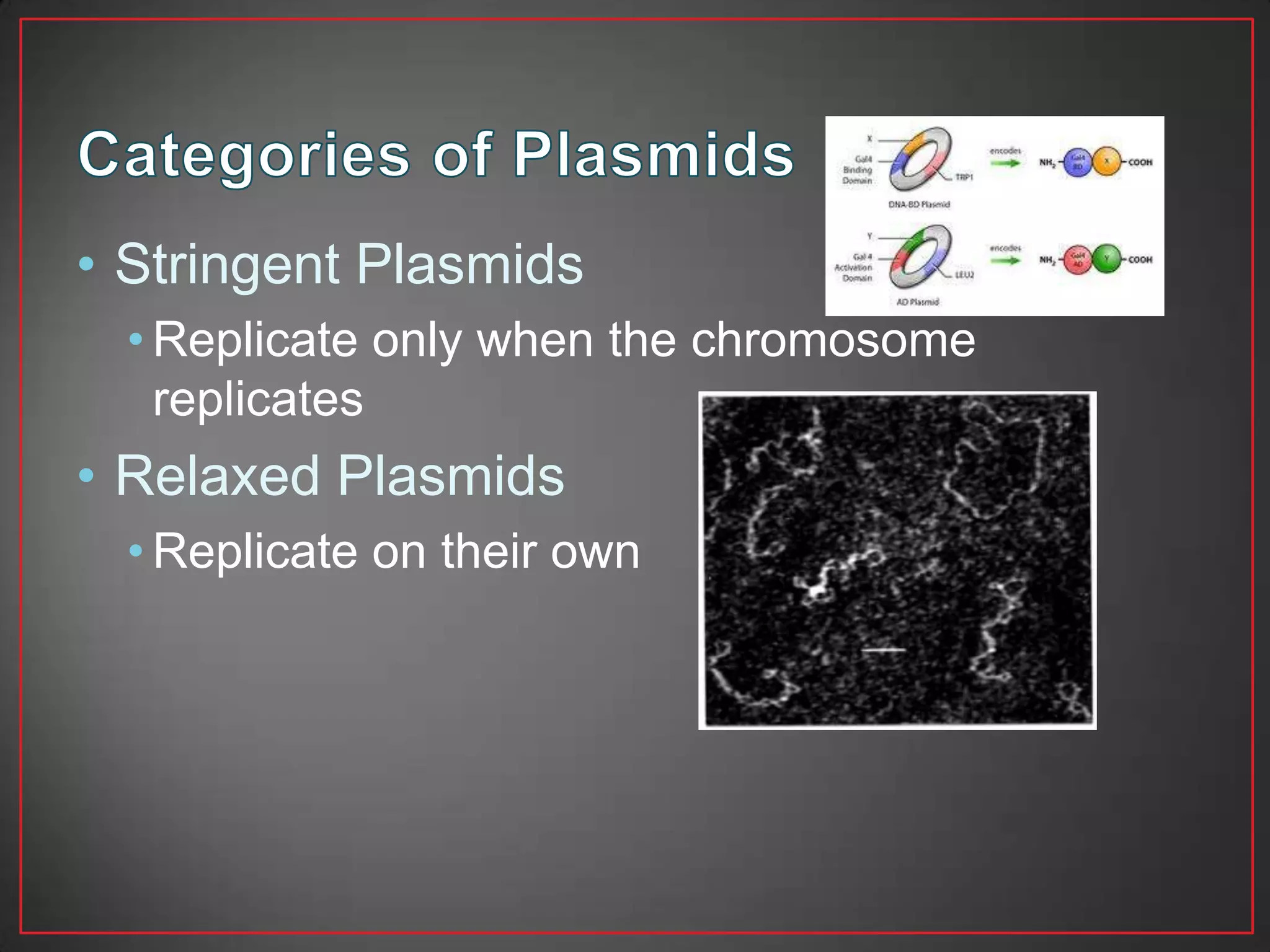 Plasmids | PPTX | Biological Sciences | Science