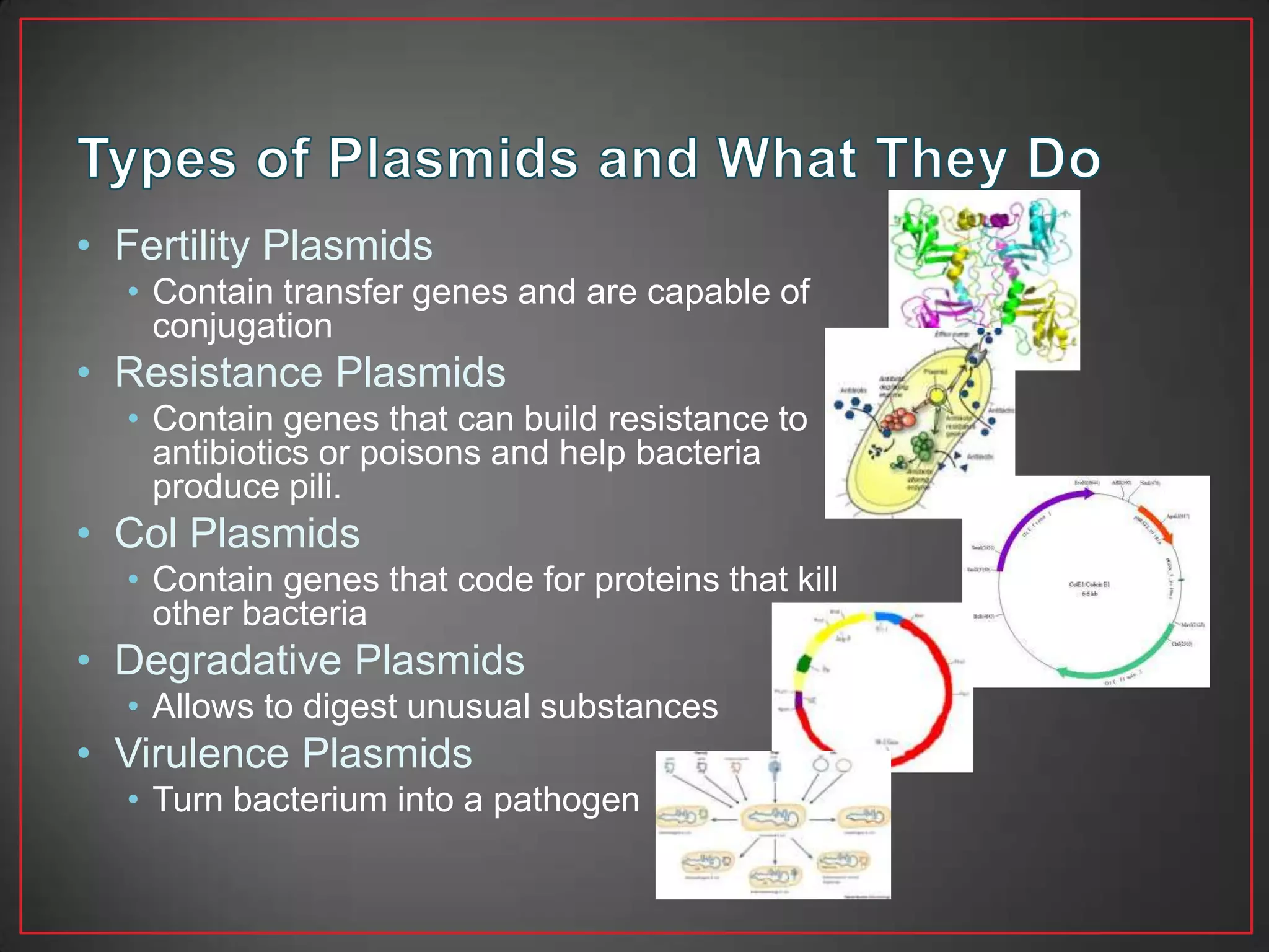 Plasmids | PPT