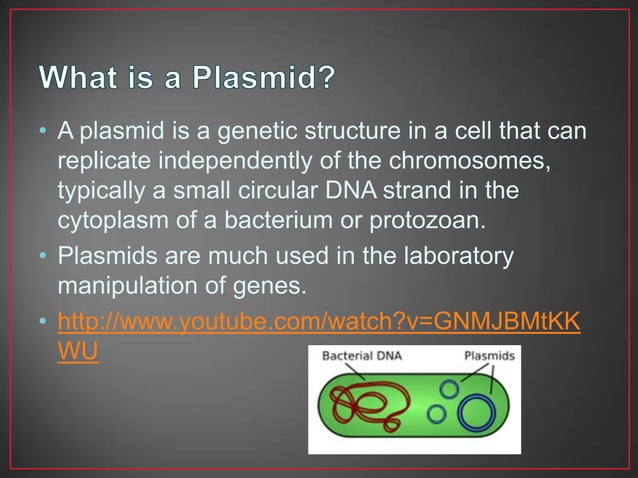 Plasmids | PPTX | Biological Sciences | Science