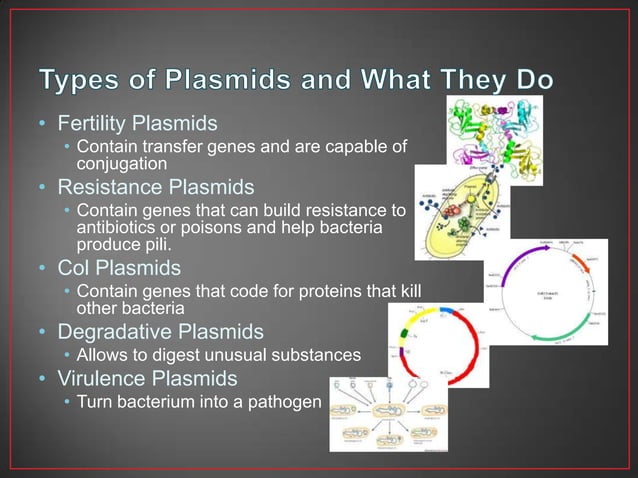 Plasmids | PPTX | Biological Sciences | Science