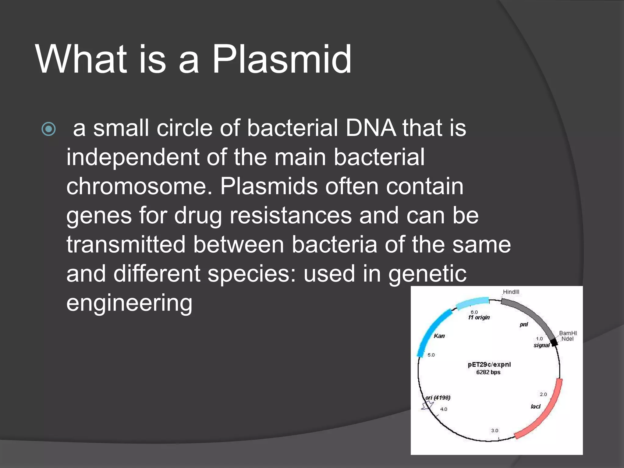 Plasmids | PPT