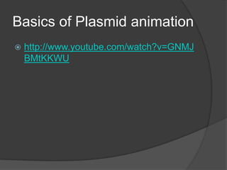 Plasmids | PPT
