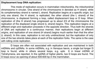Plasmids | PPT