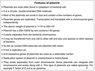 Plasmids | PPT