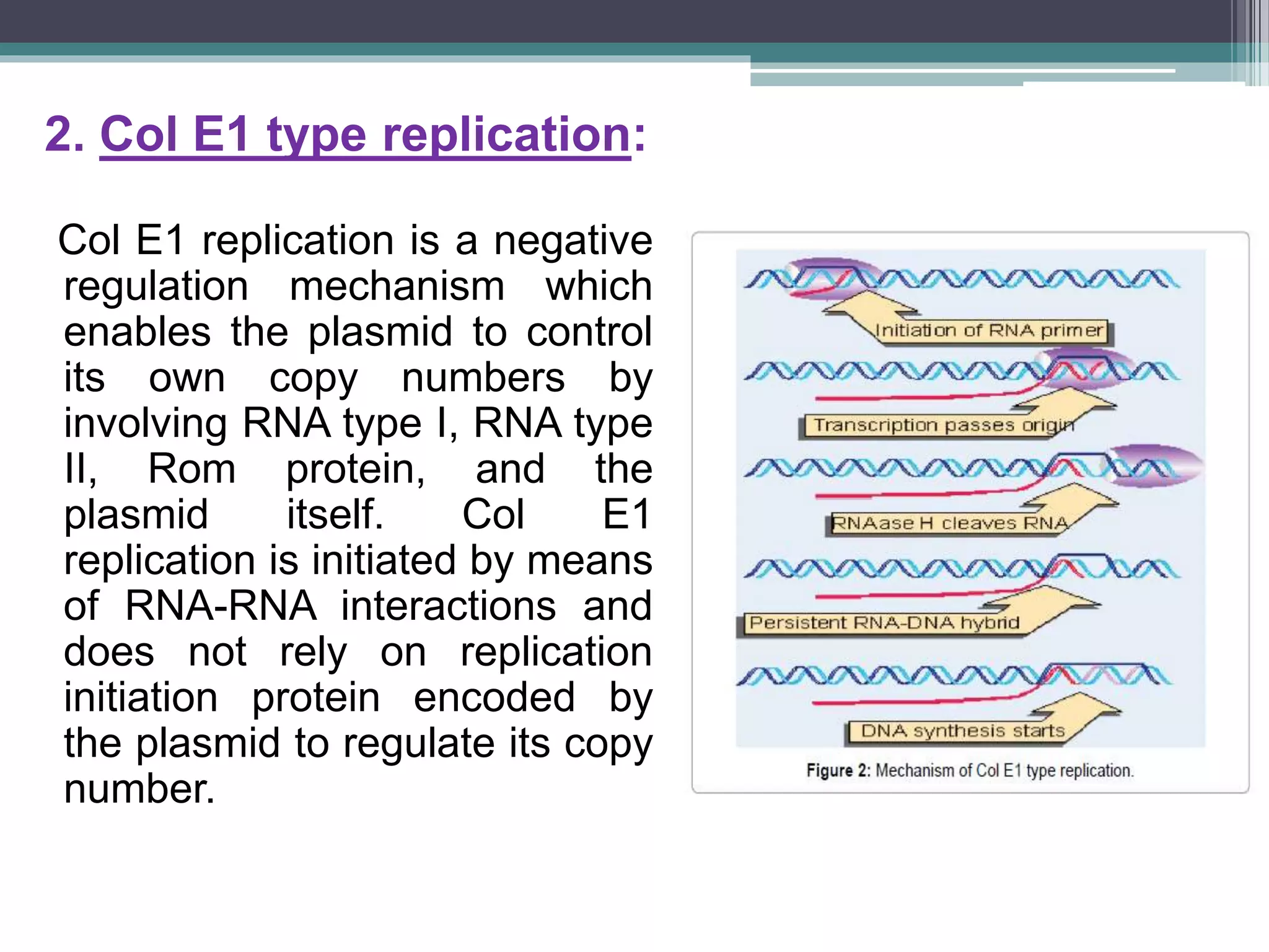 Plasmid | PPTX
